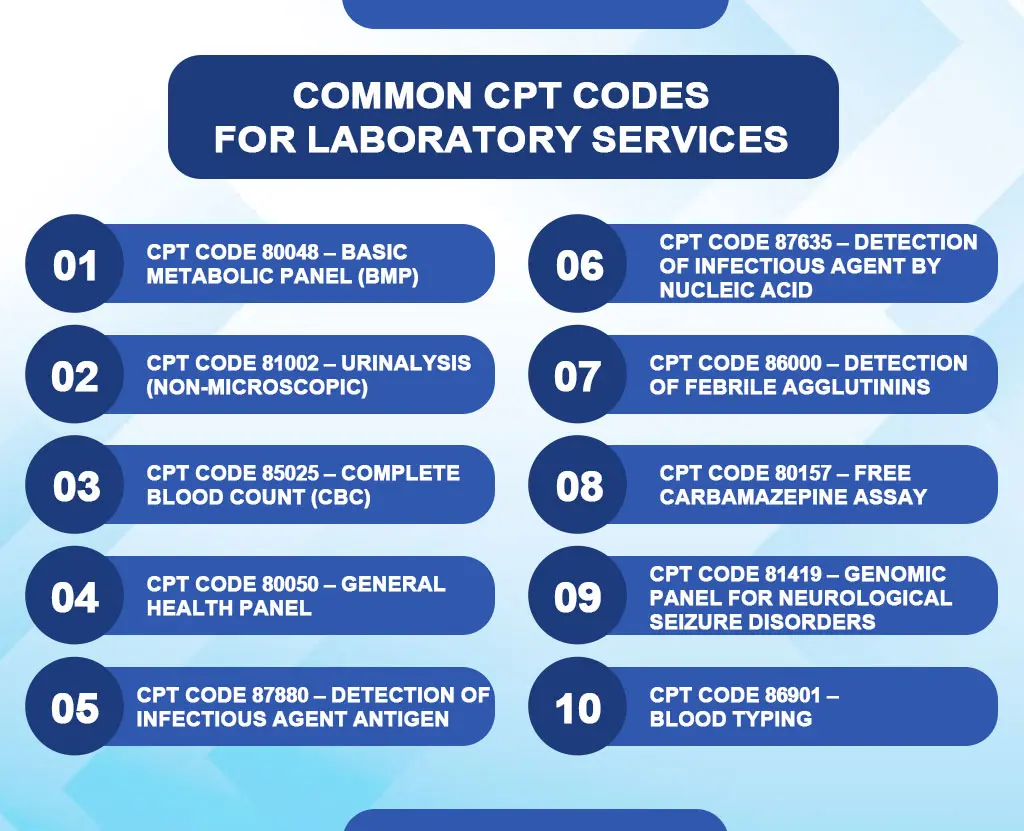 What Are Lab CPT Codes And Its Importance In Medical Billing
